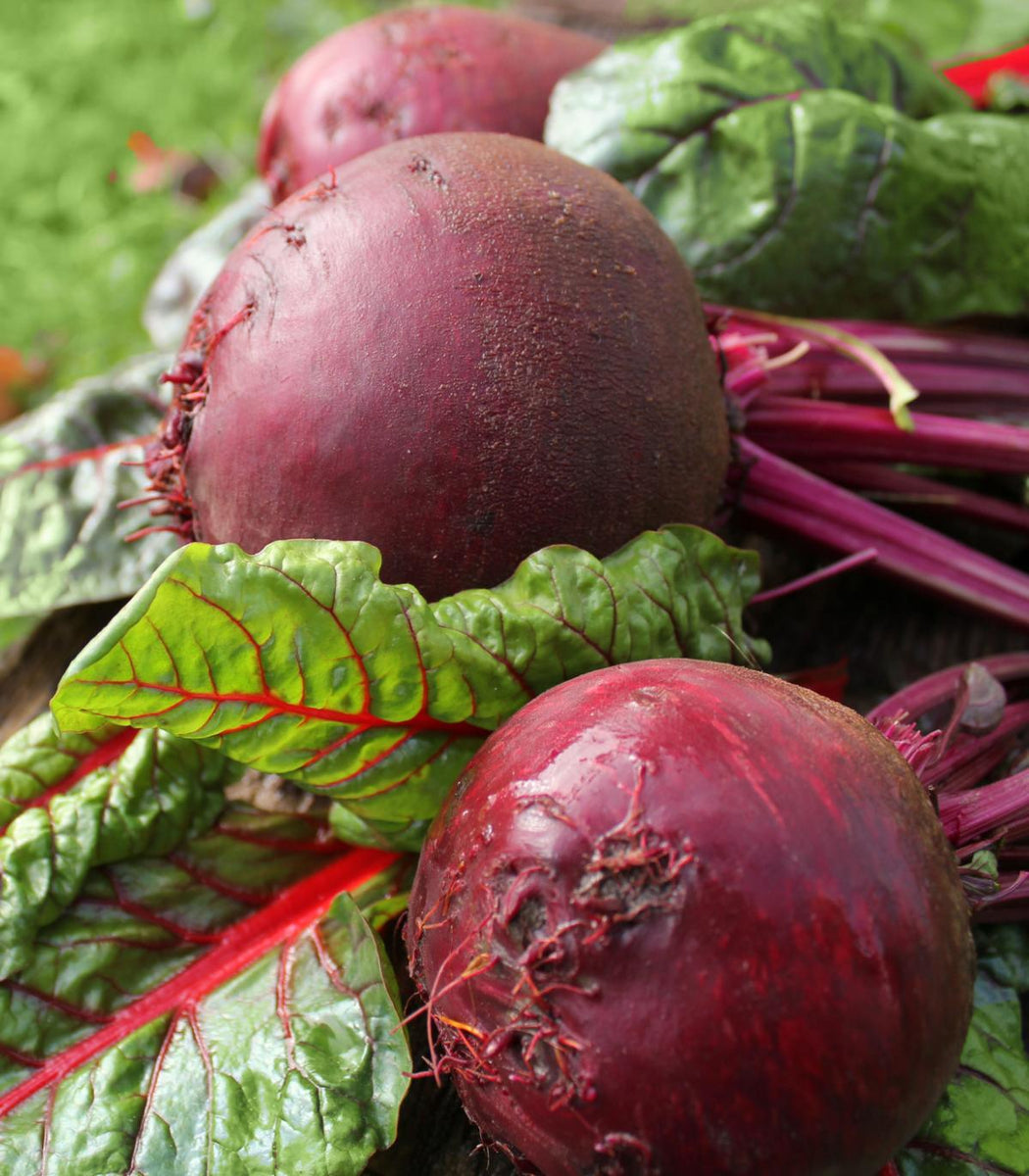 Beetroot Detroit Dark Red 500 Seeds (Beta vulgaris) Heirloom - Open Po ...