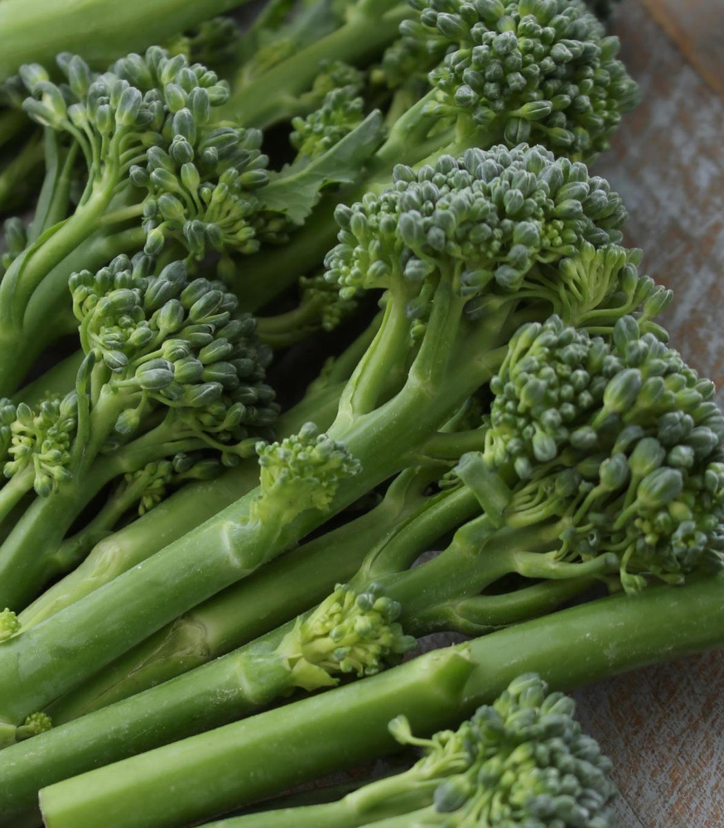 Broccoli Green Sprouting Calabrese 500 Seeds (Brassica oleracea) Heirl ...