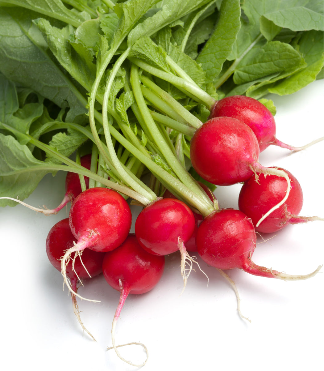 Radish Cherry Belle 500 Seeds (Raphanus sativus) Heirloom Open pollina ...