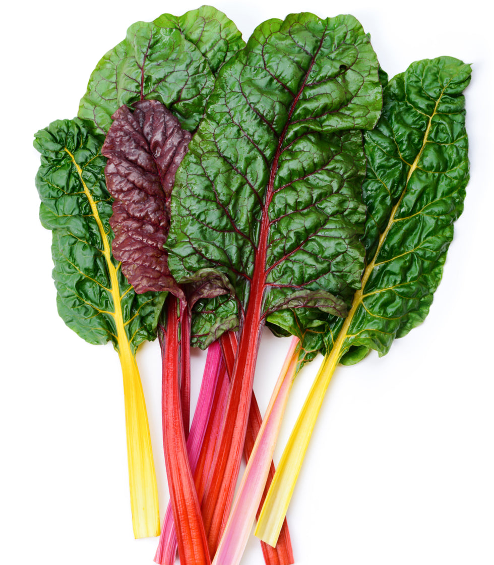 Swiss Chard Rainbow 200 Seeds (Beta vulgaris) Heirloom Open pollinate ...